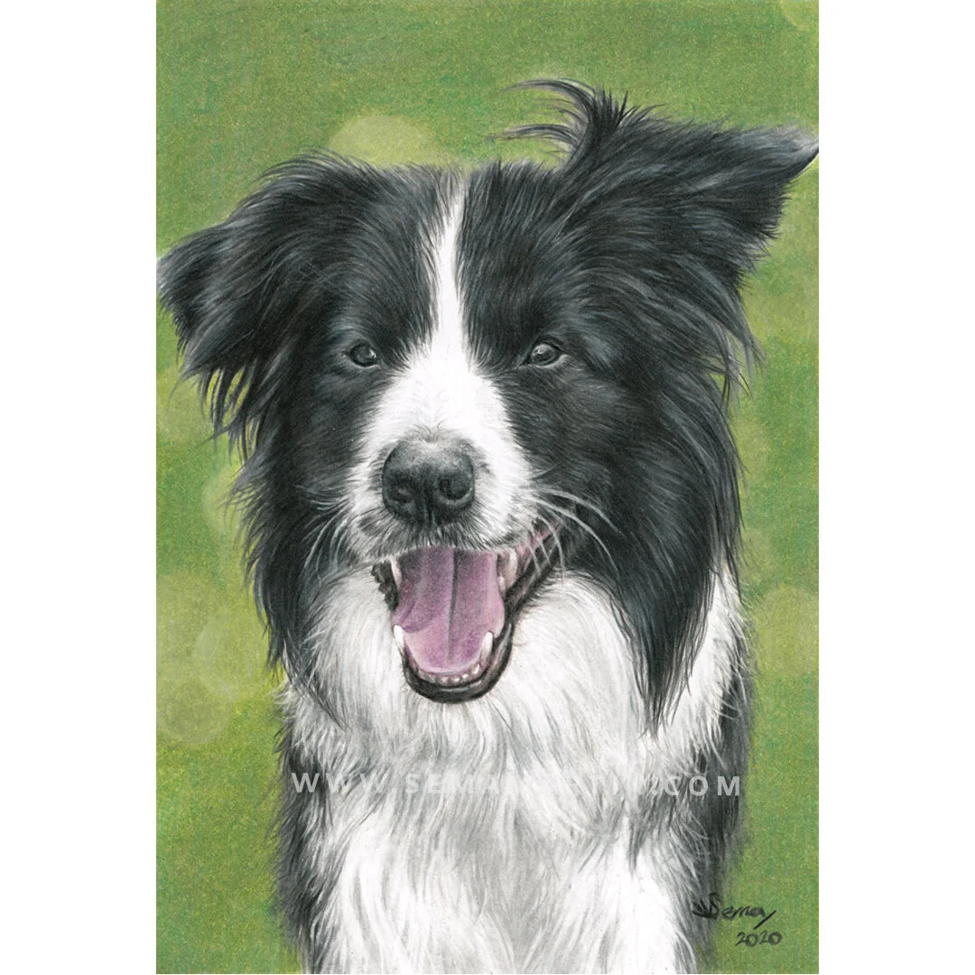 Realistic Colored Pencil Dog Portrait drawing from your photo by Award ...