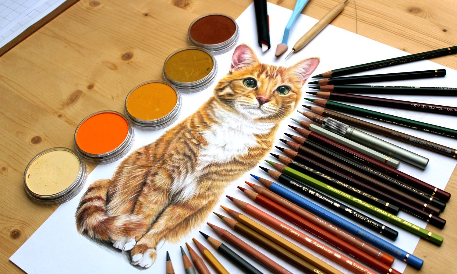 How to Draw a realistic cat in colour pencil — Pet Portraits by Sema ...