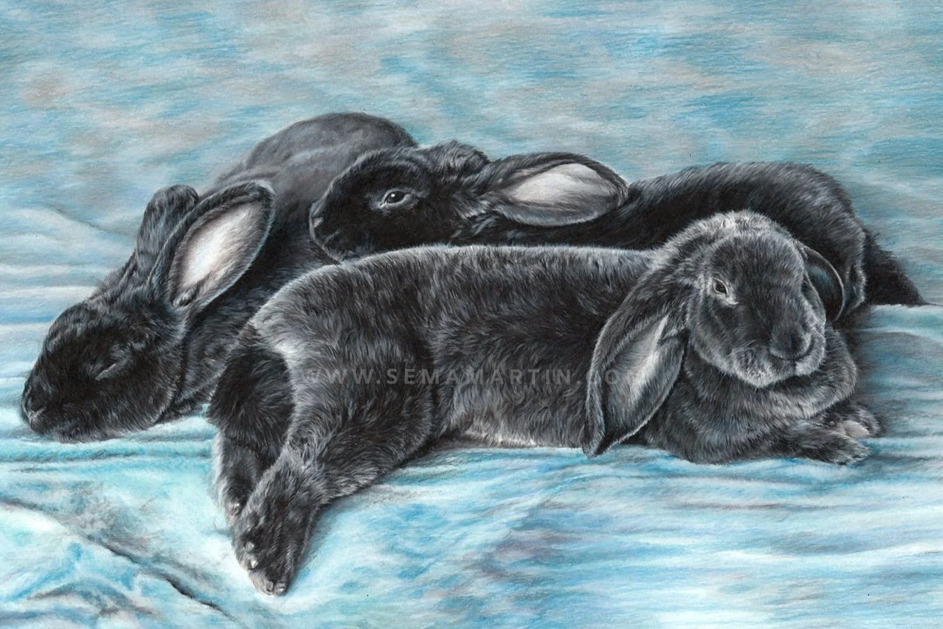 Pet Portrait artist Sema Martin Blog — Pet Portraits by Sema Martin ...