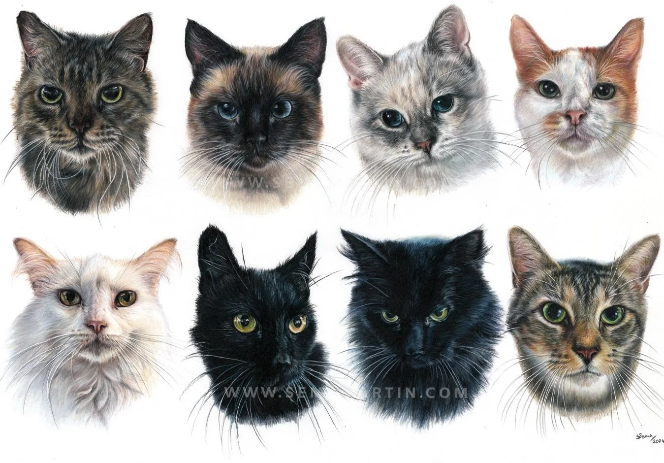 Pet Portraits by Sema Martin | Realistic pet portrait drawings from ...