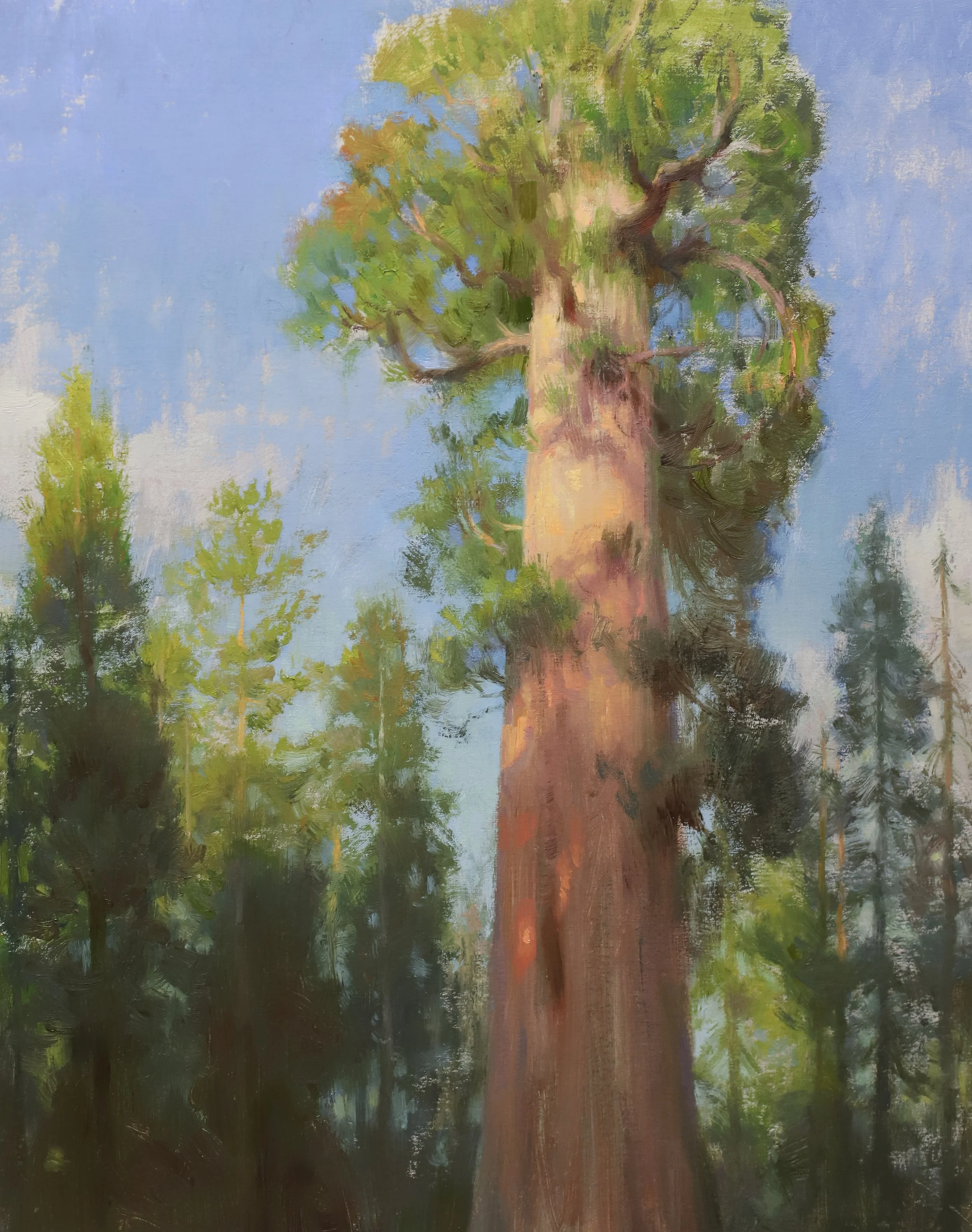 Daniel Keys — A Sense of Place fine art