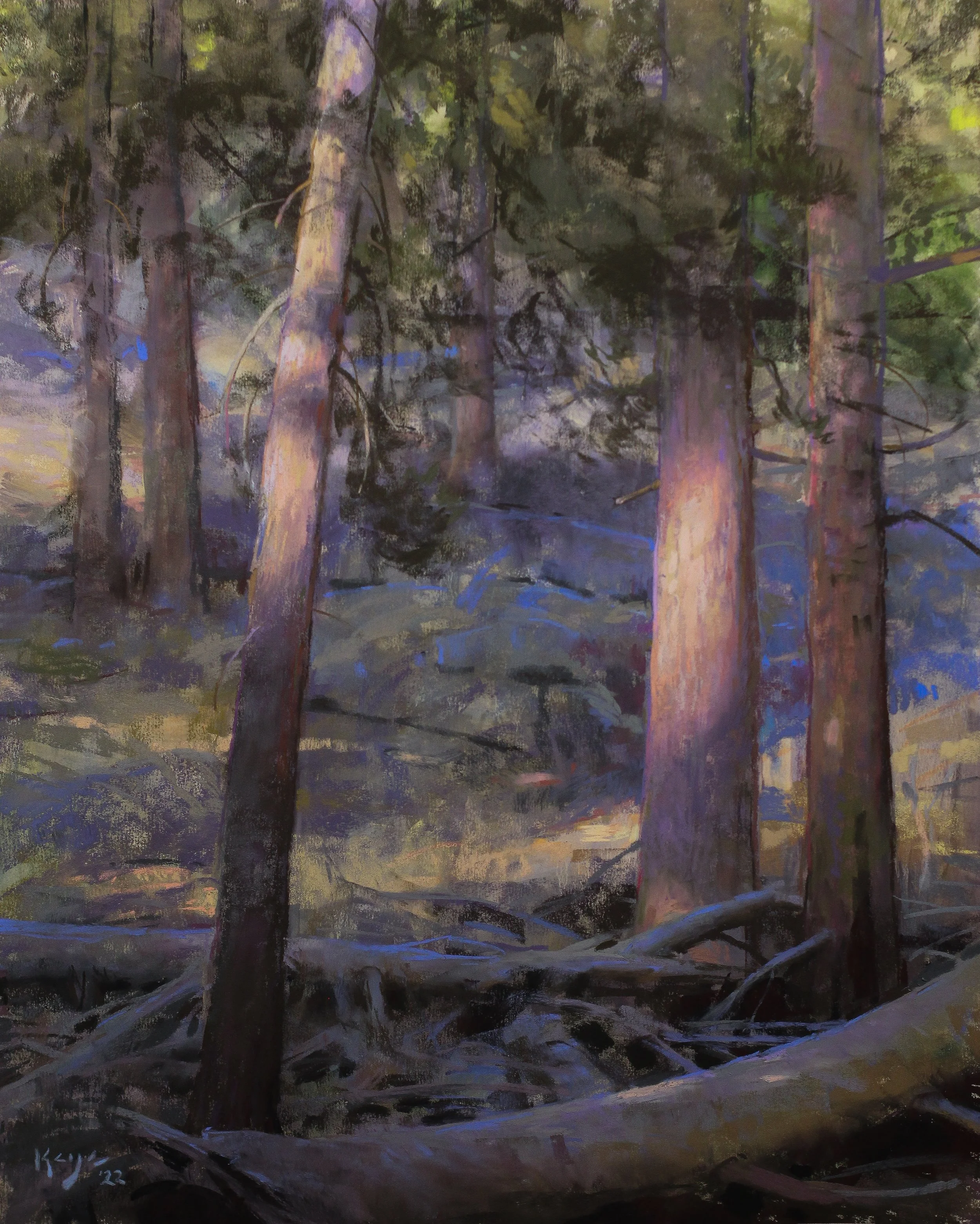 Daniel J. Keys — A SENSE OF PLACE