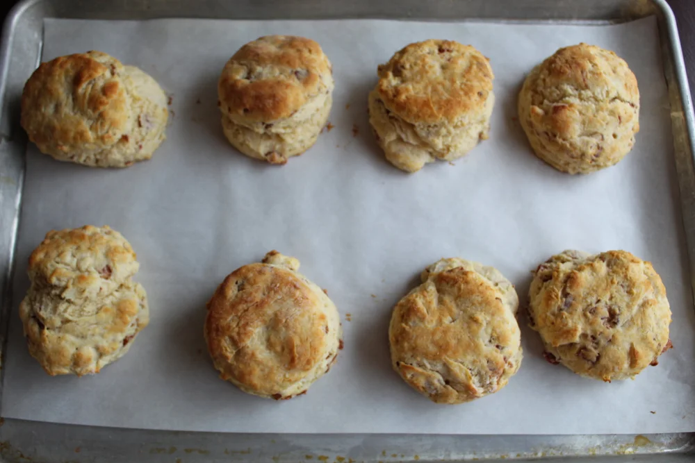 Maple Bacon Biscuits — COOKING WITH THE PAN