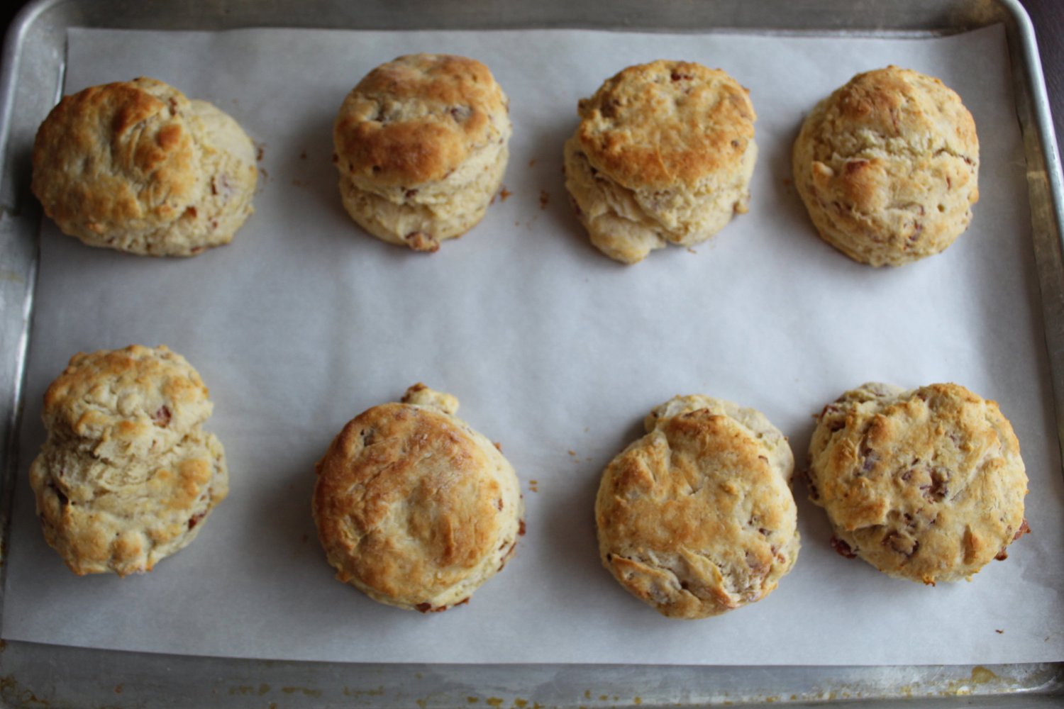 Maple Bacon Biscuits — COOKING WITH THE PAN