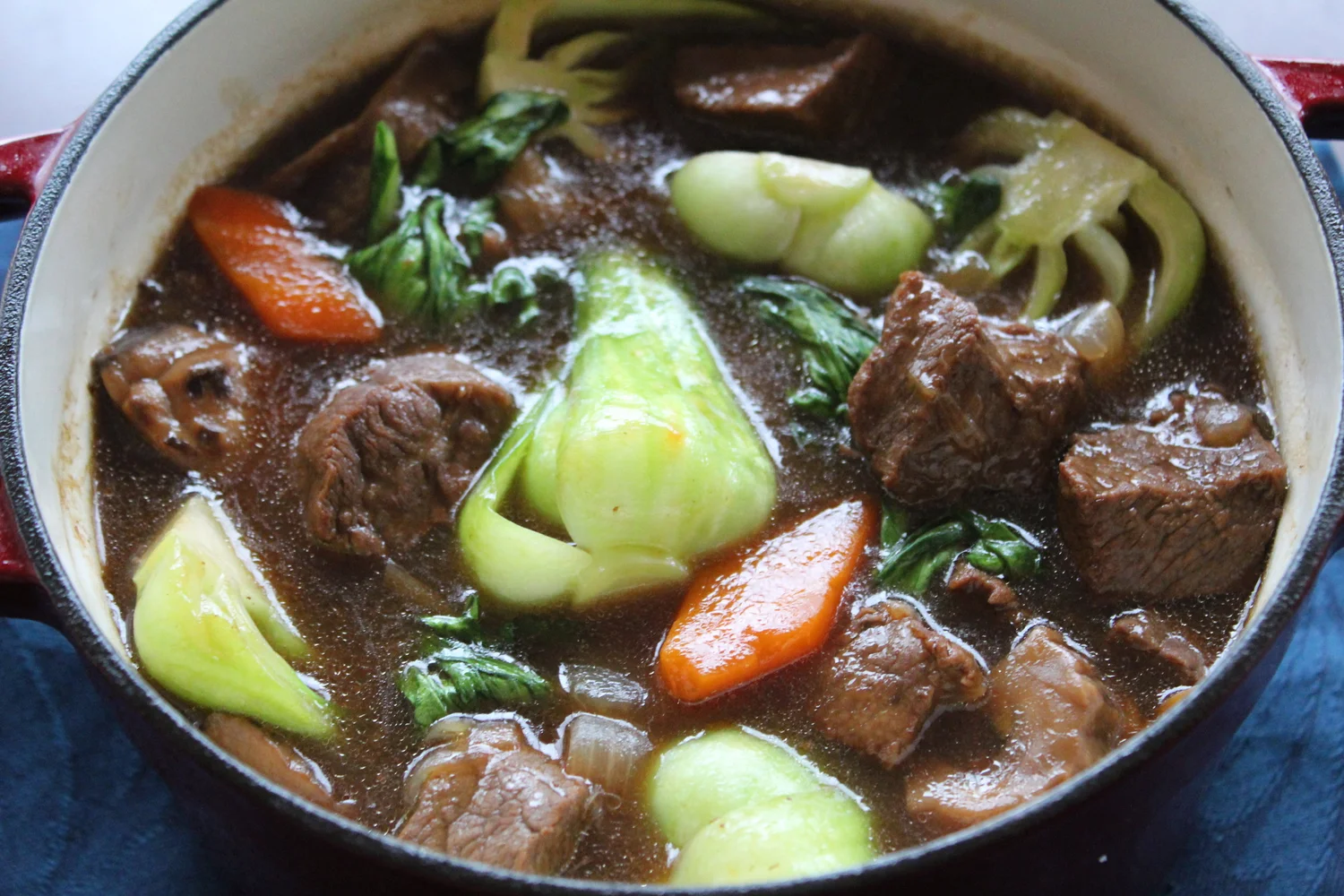 Asian Beef Stew — COOKING WITH THE PAN
