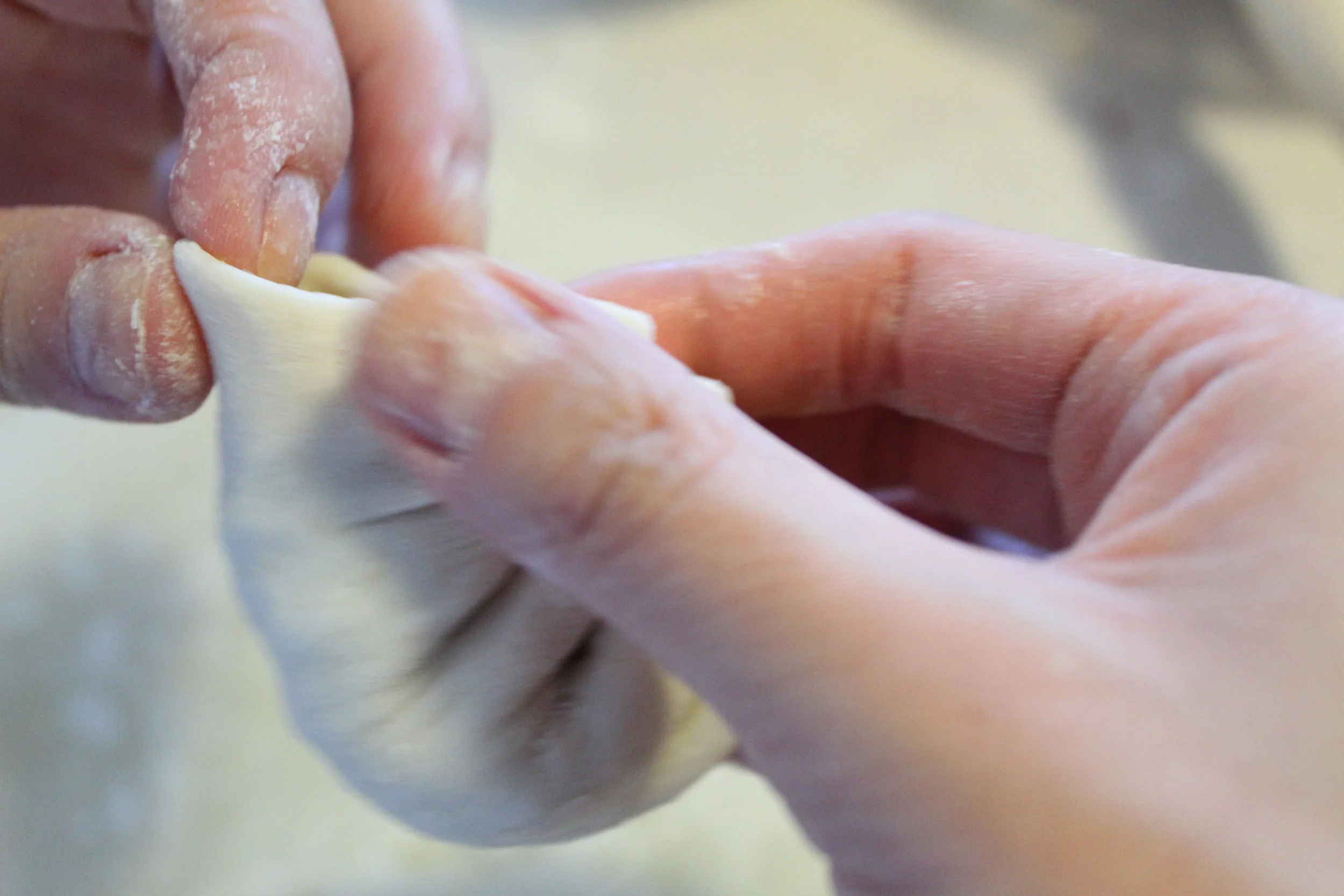 Rainbow Vegetable Dumplings — COOKING WITH THE PAN