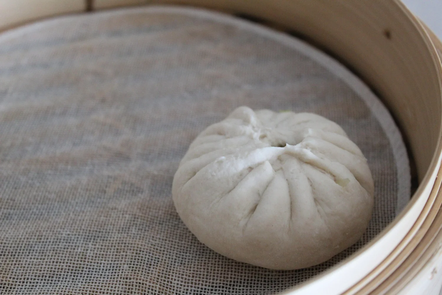 Second Week of Working from Home and Vegetable Steamed Buns — COOKING ...