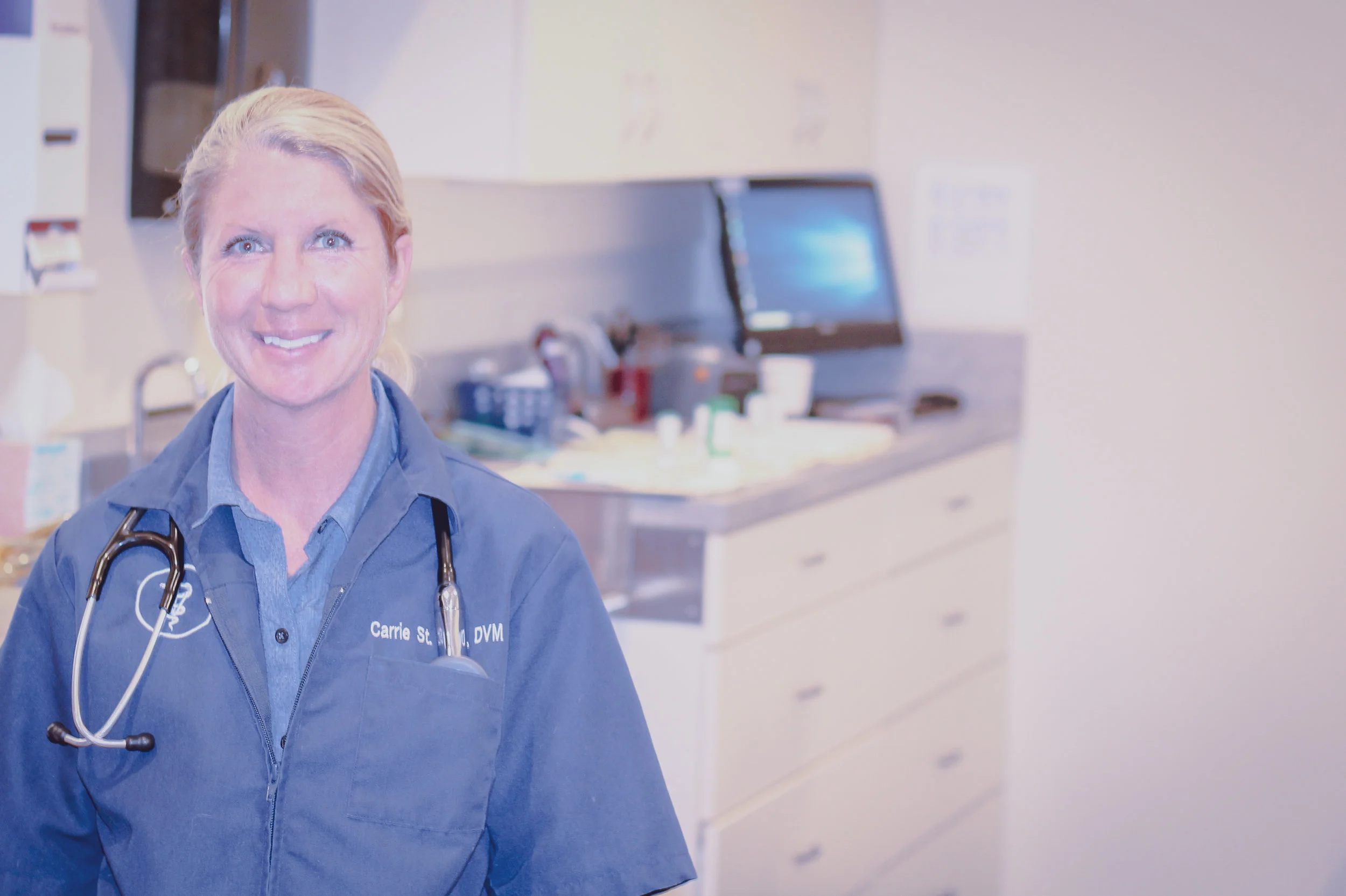 Mann Vet Clinic