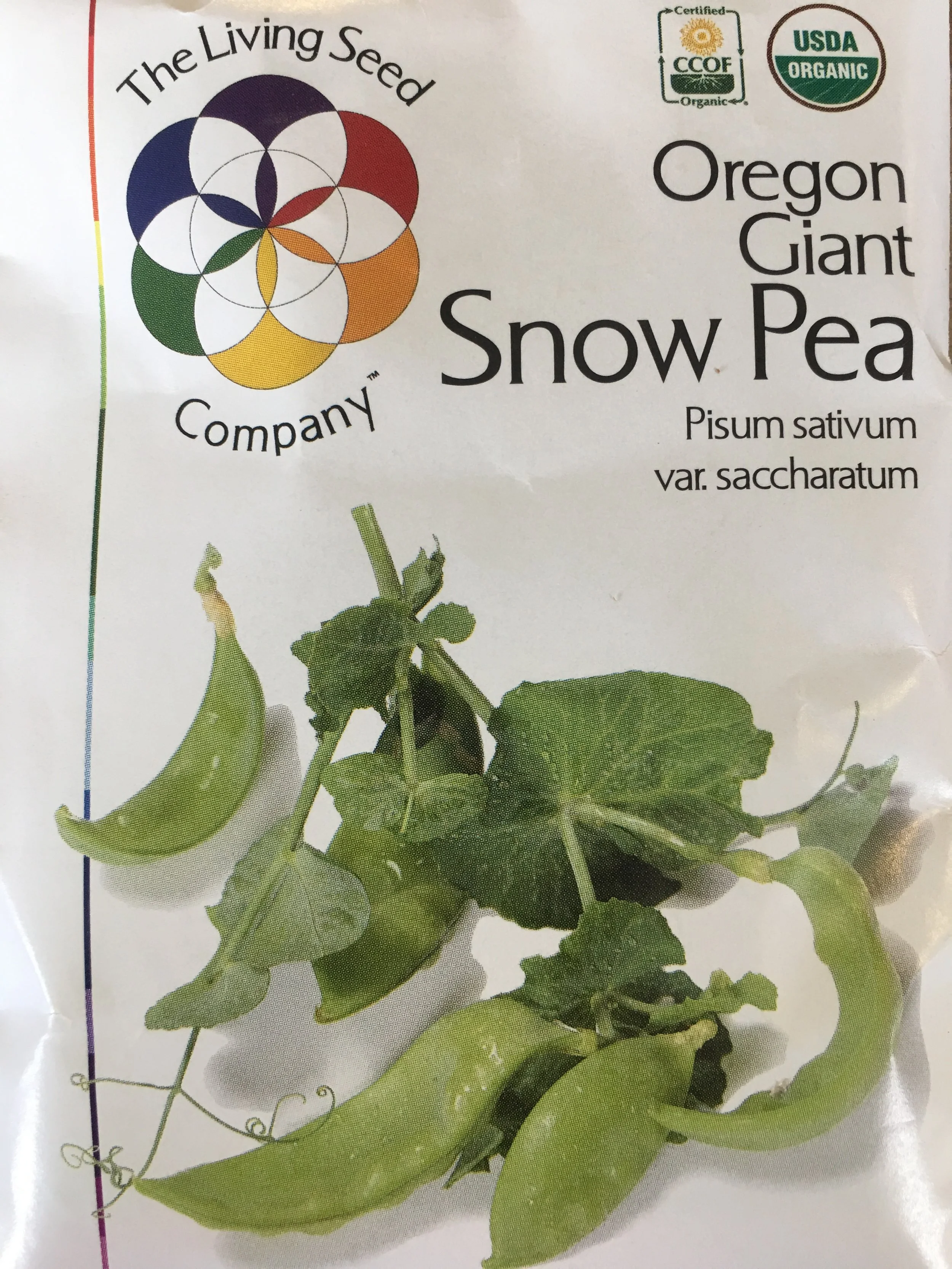 Seeds — CALIFORNIA NATIVE LANDSCAPES