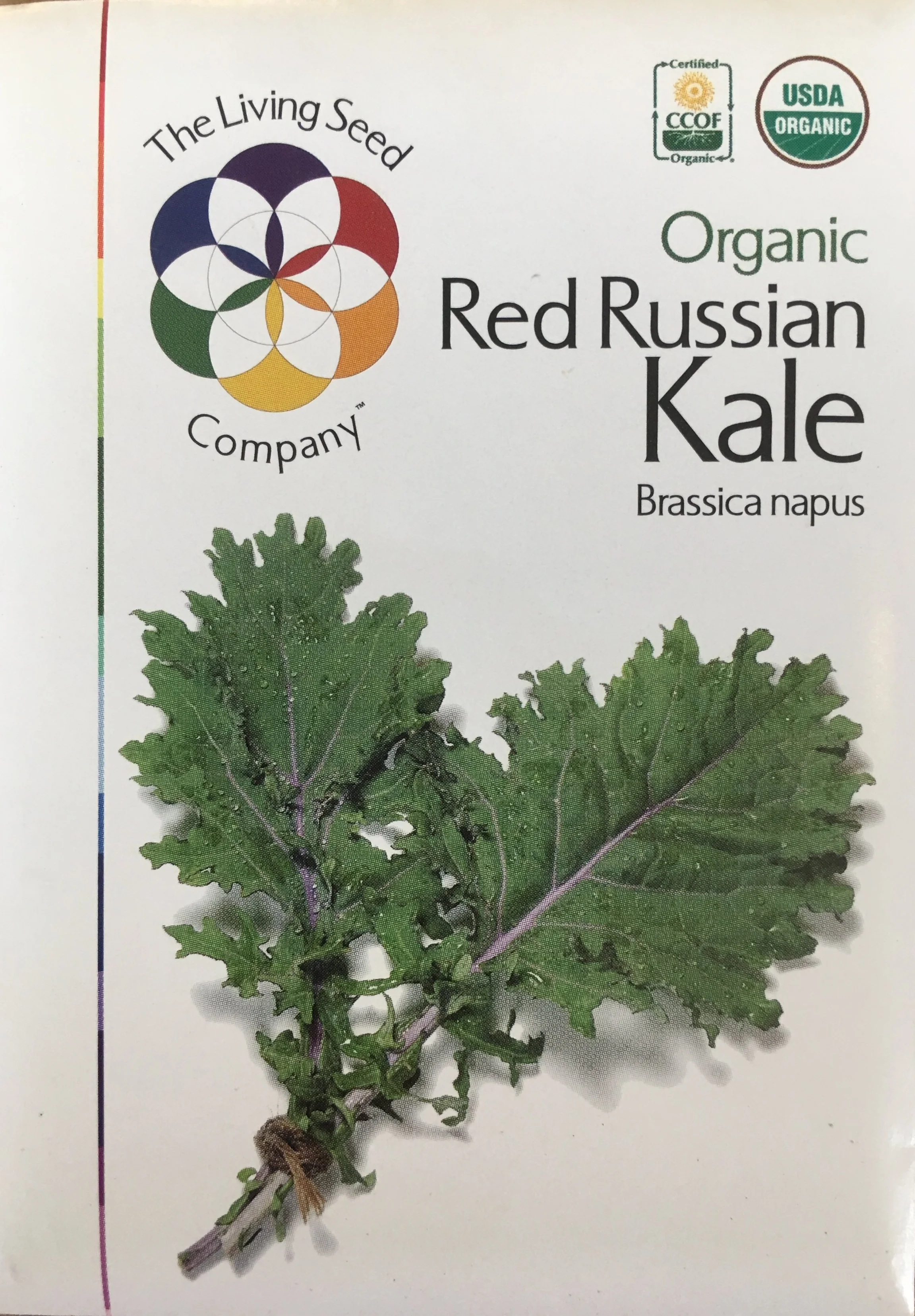 Seeds — CALIFORNIA NATIVE LANDSCAPES