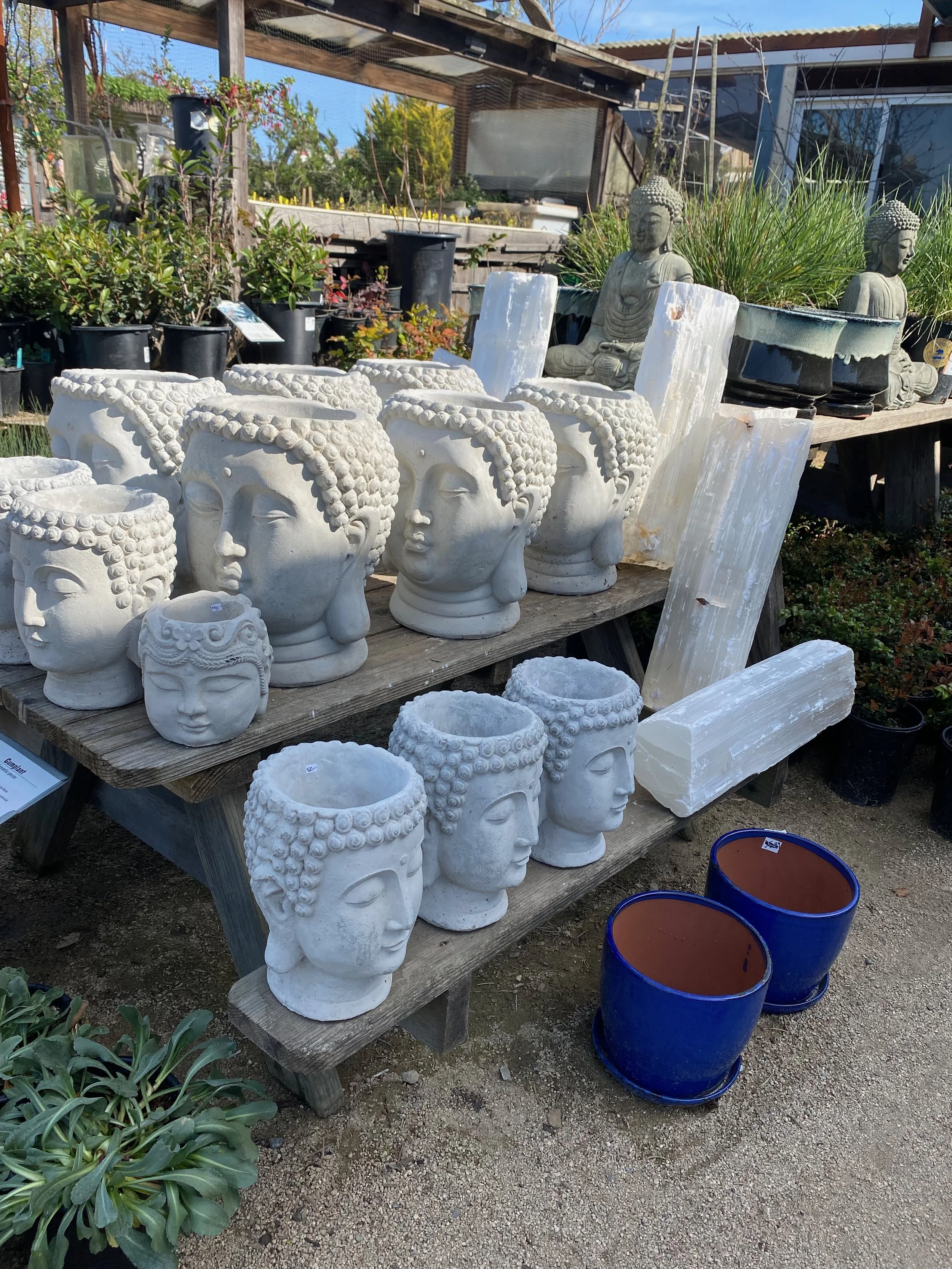 Pots & Planters — CALIFORNIA NATIVE LANDSCAPES