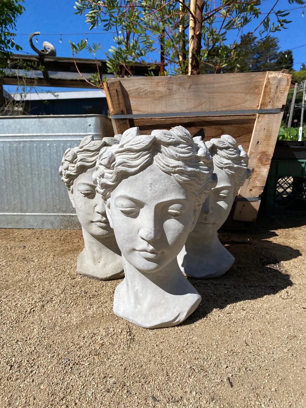 Pots & Planters — CALIFORNIA NATIVE LANDSCAPES
