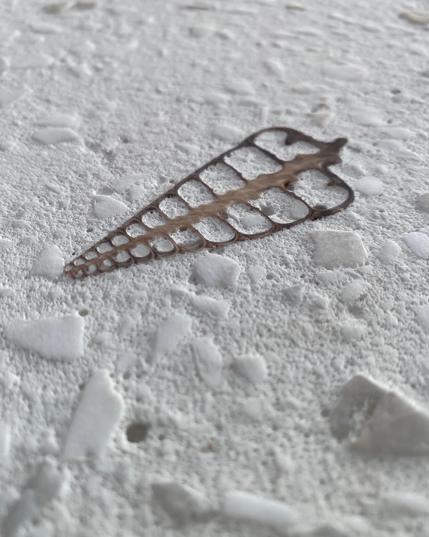 Tiles & Pavers — GIACON TERRAZZO