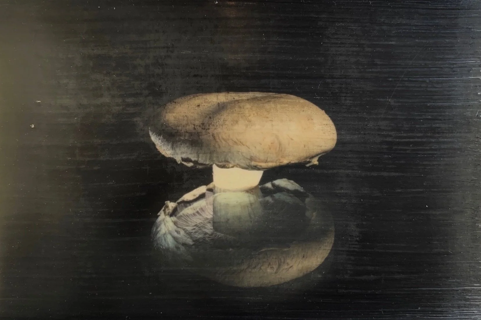 Catalogue of Work Canterbury Palace Street — Lilford Gallery ...