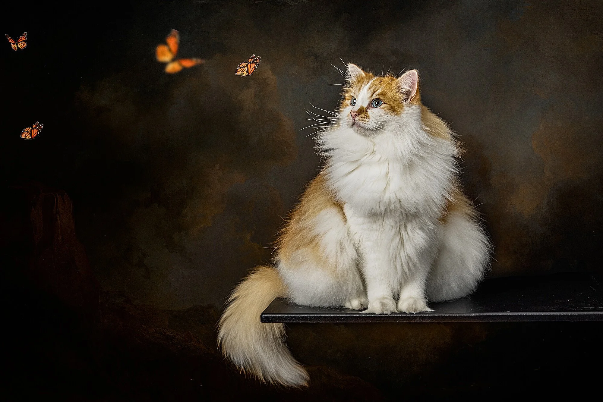 Keisha Williams Fine Art Photography - HOME