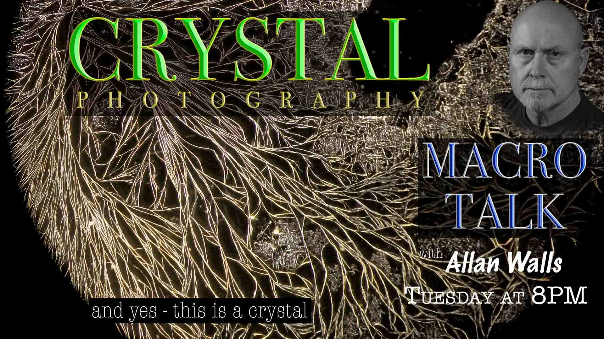 This Week in Macro - Crystals and Cell Phones — Allan Walls Photography