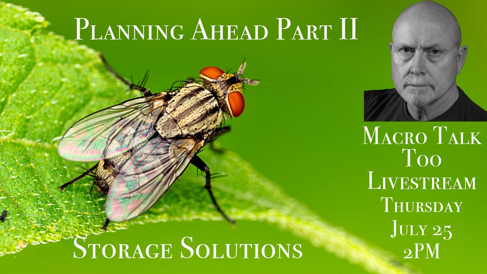 Planning Ahead — Allan Walls Photography