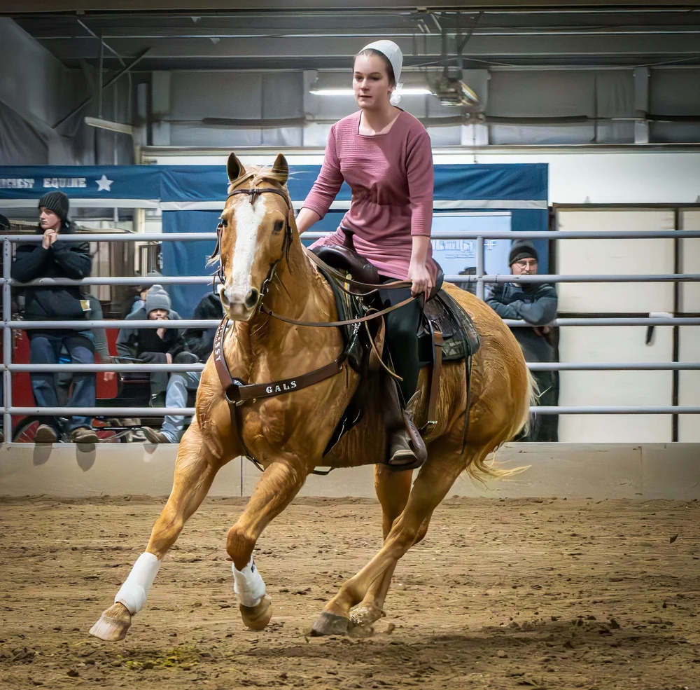 Shooting Horses — Allan Walls Photography