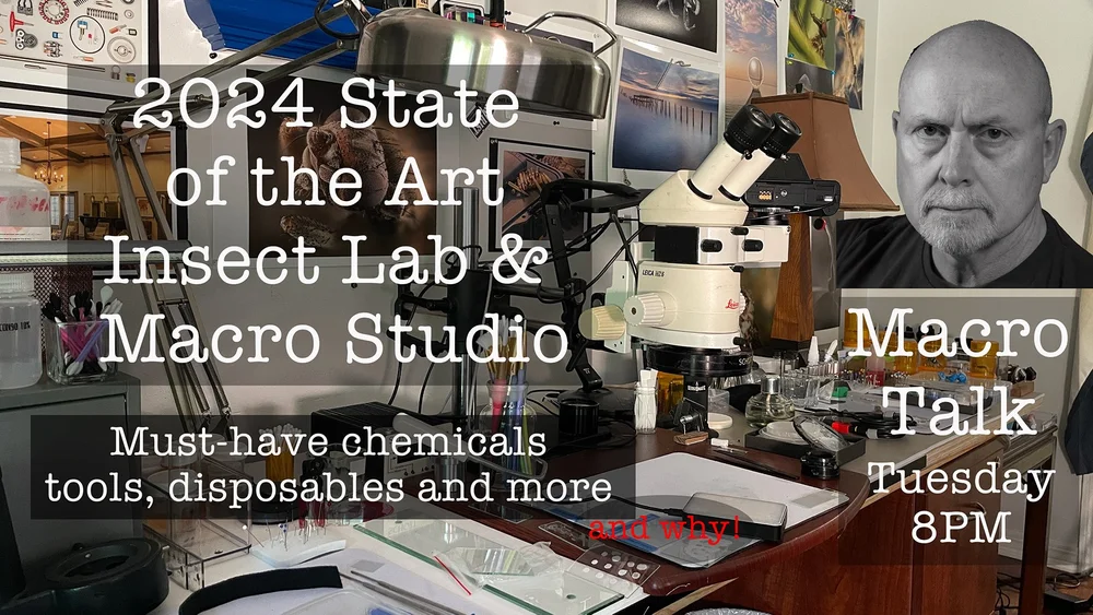 My Insect Lab - (can be yours too!) — Allan Walls Photography