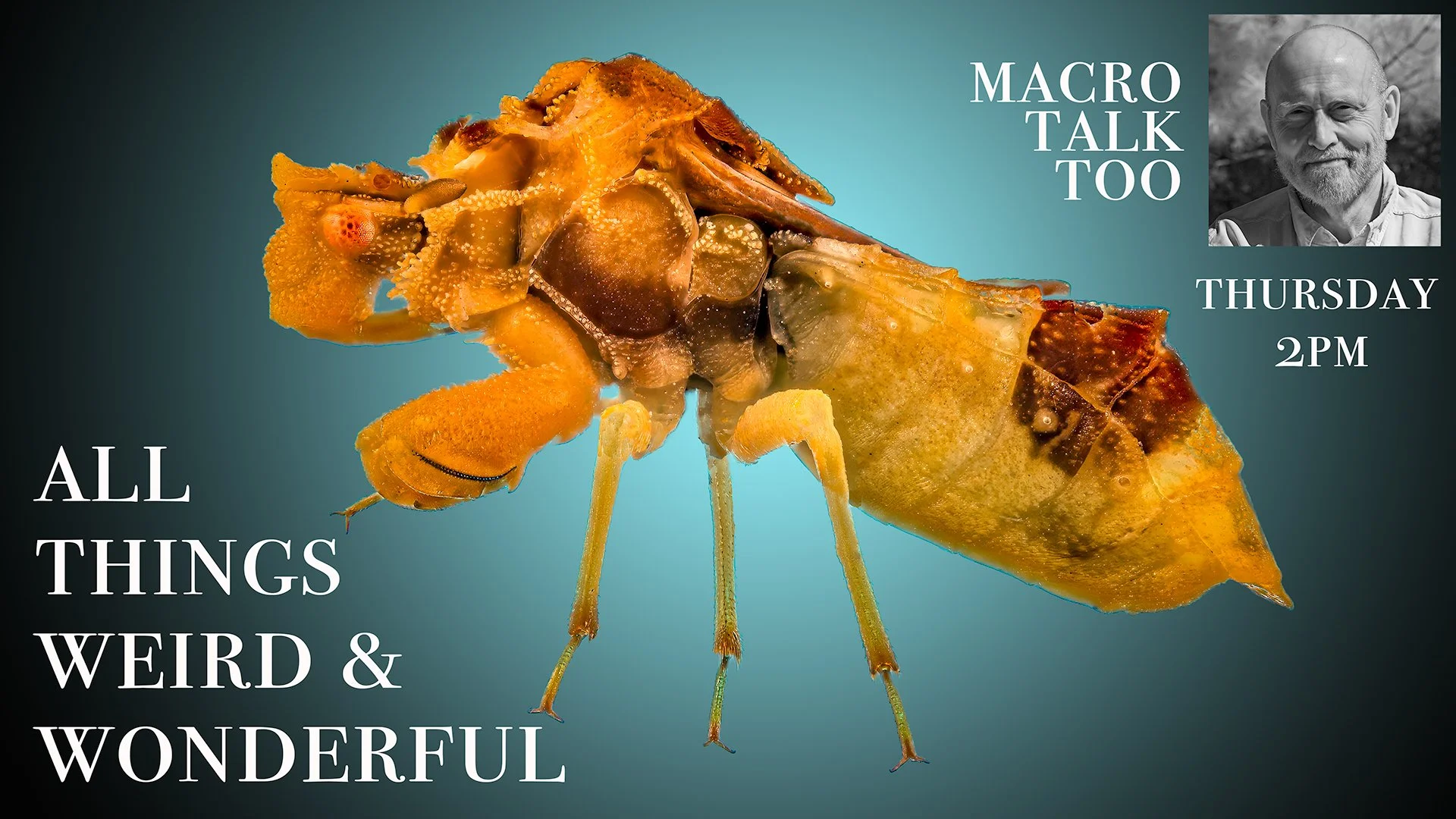 Fall for Macro — Allan Walls Photography