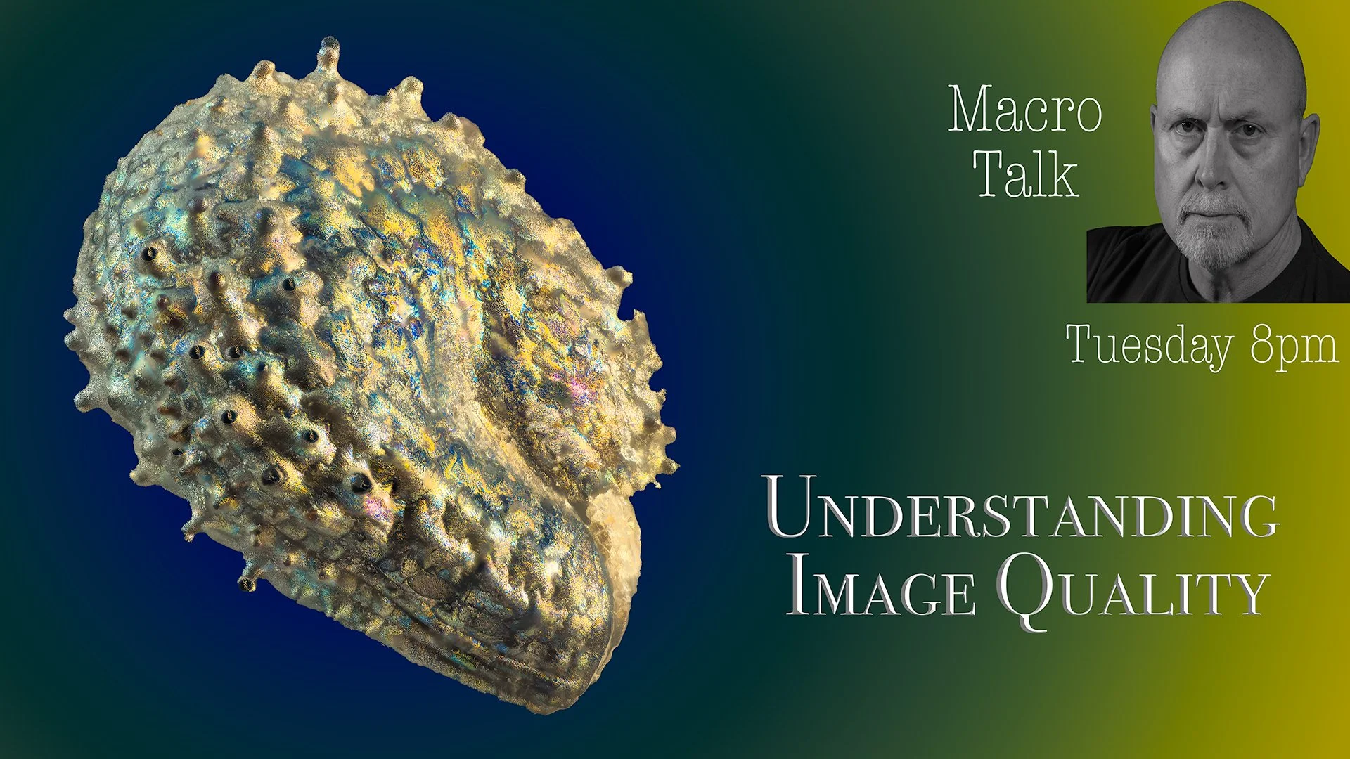 Understanding and Improving Image Quality in Macro Photography — Allan Walls Photography