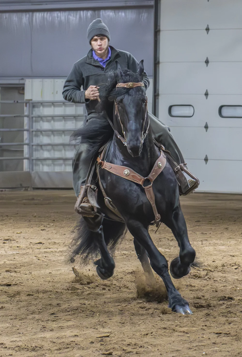 Shooting Horses — Allan Walls Photography