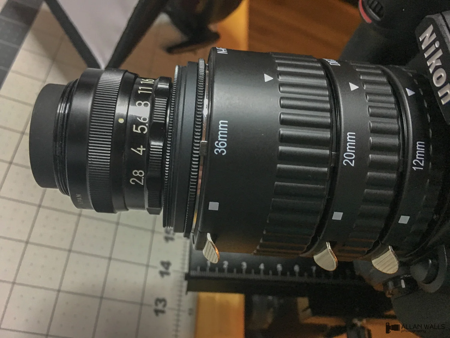 Extreme macro photography on a budget - Part 1 - The equipment — Allan ...
