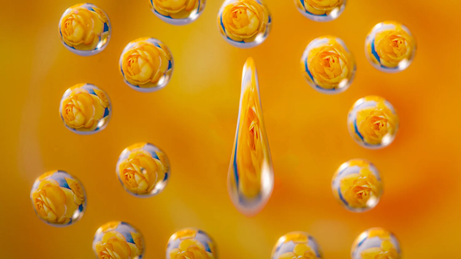 Using Water Drops as Lenses — Allan Walls Photography