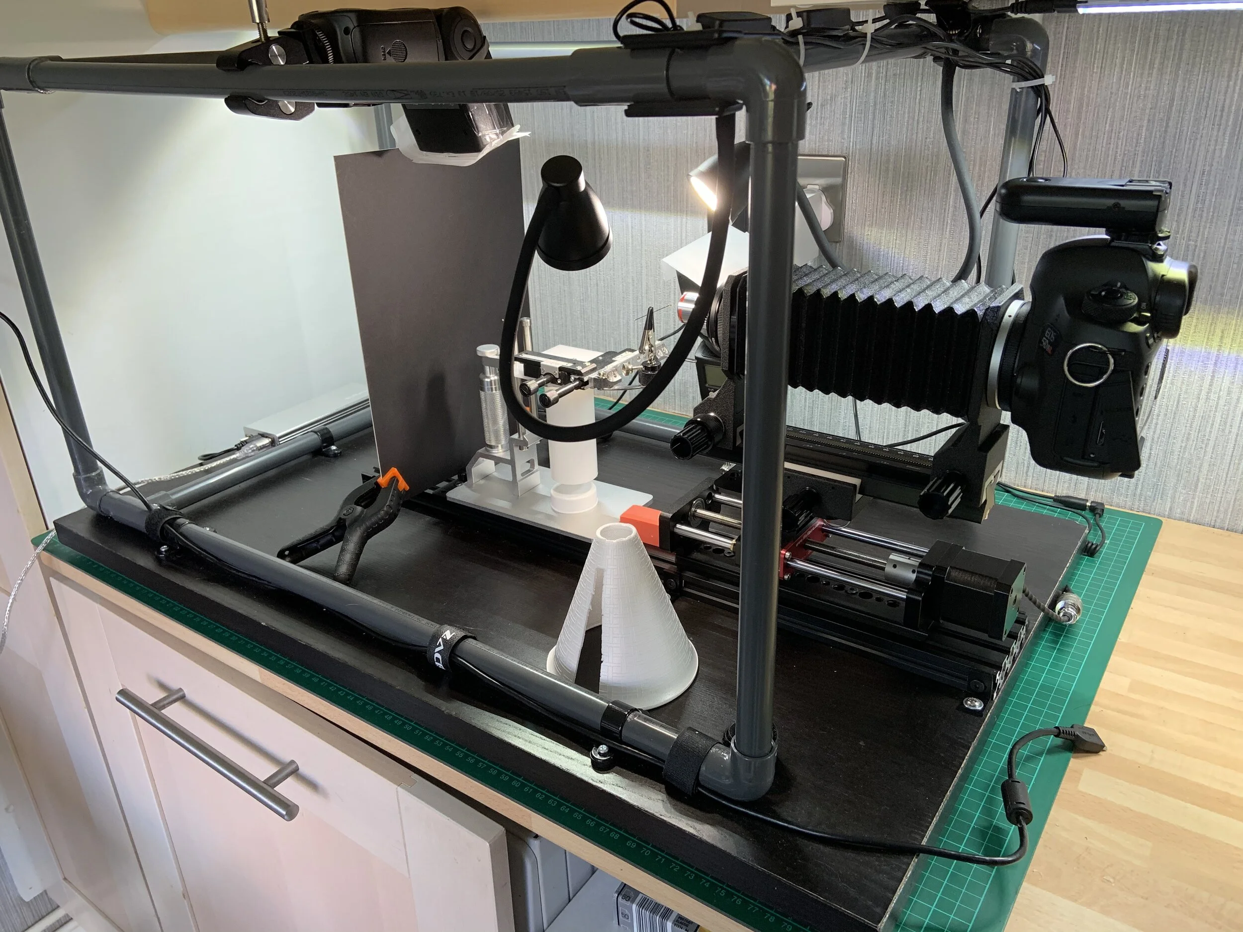 The Cage Project — Allan Walls Photography