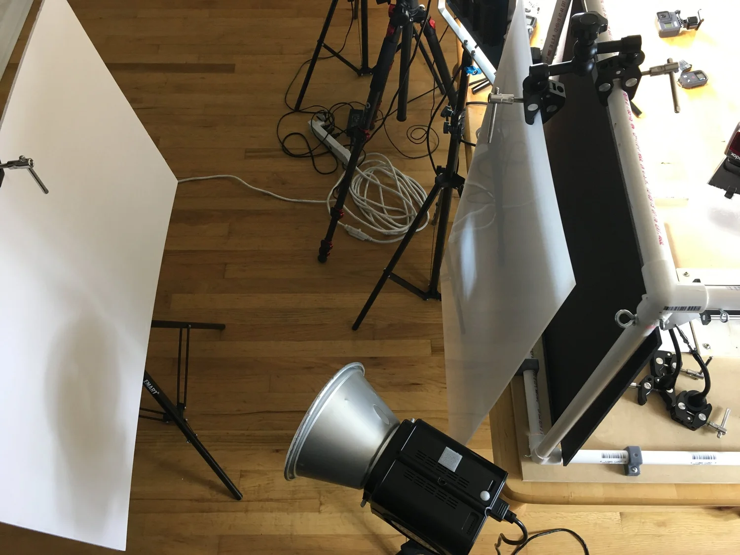 White Background Macro Photography — Allan Walls Photography