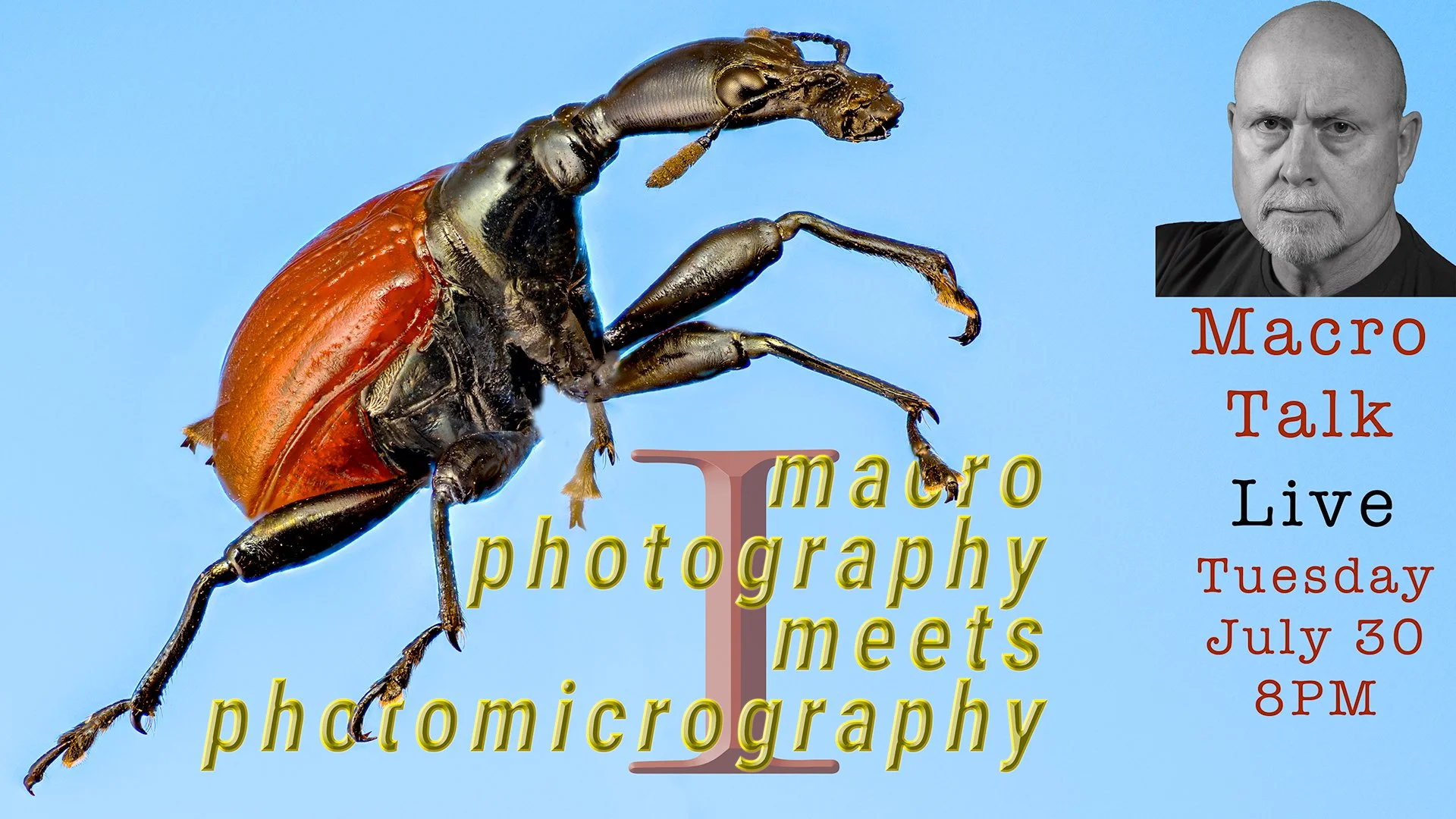 Photomicrography - Where Macro Photography Leaves Off — Allan Walls Photography