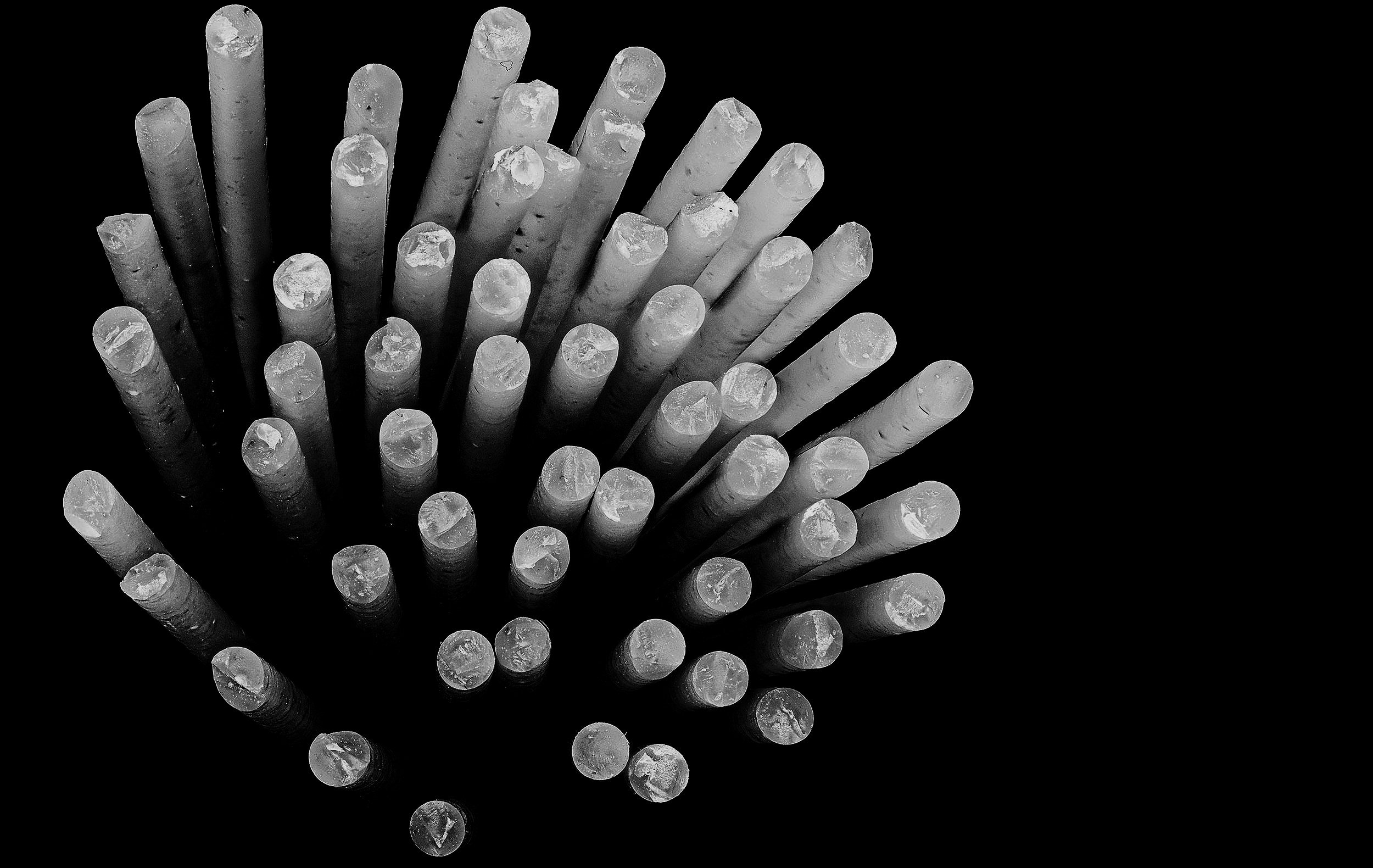 The Macro Photo Competition — Allan Walls Photography