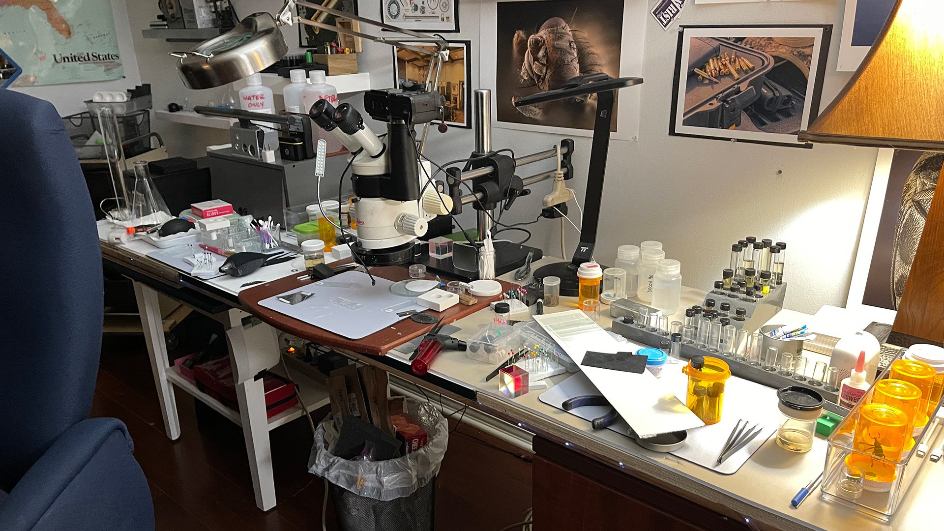 My Insect Lab - (can be yours too!) — Allan Walls Photography
