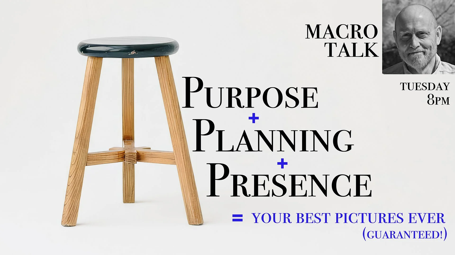 This Week in Macro: Purpose, Precision, and Post-Production — Allan Walls Photography