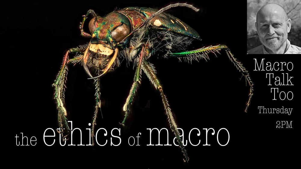 The Ethics of Macro — Allan Walls Photography