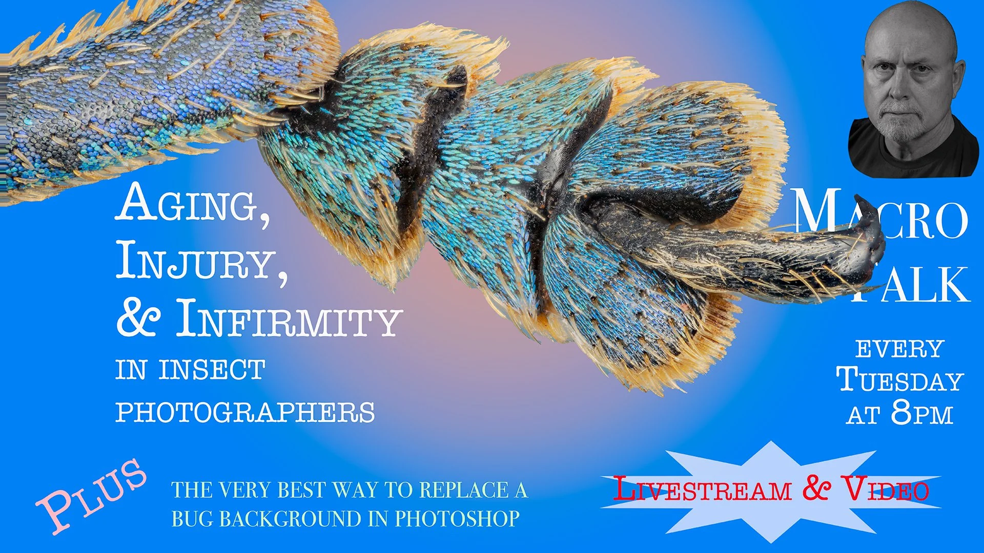 The Aging Macro Photographer — Allan Walls Photography