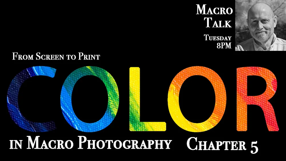 Color in Macro Photography - A Livestream Series — Allan Walls Photography