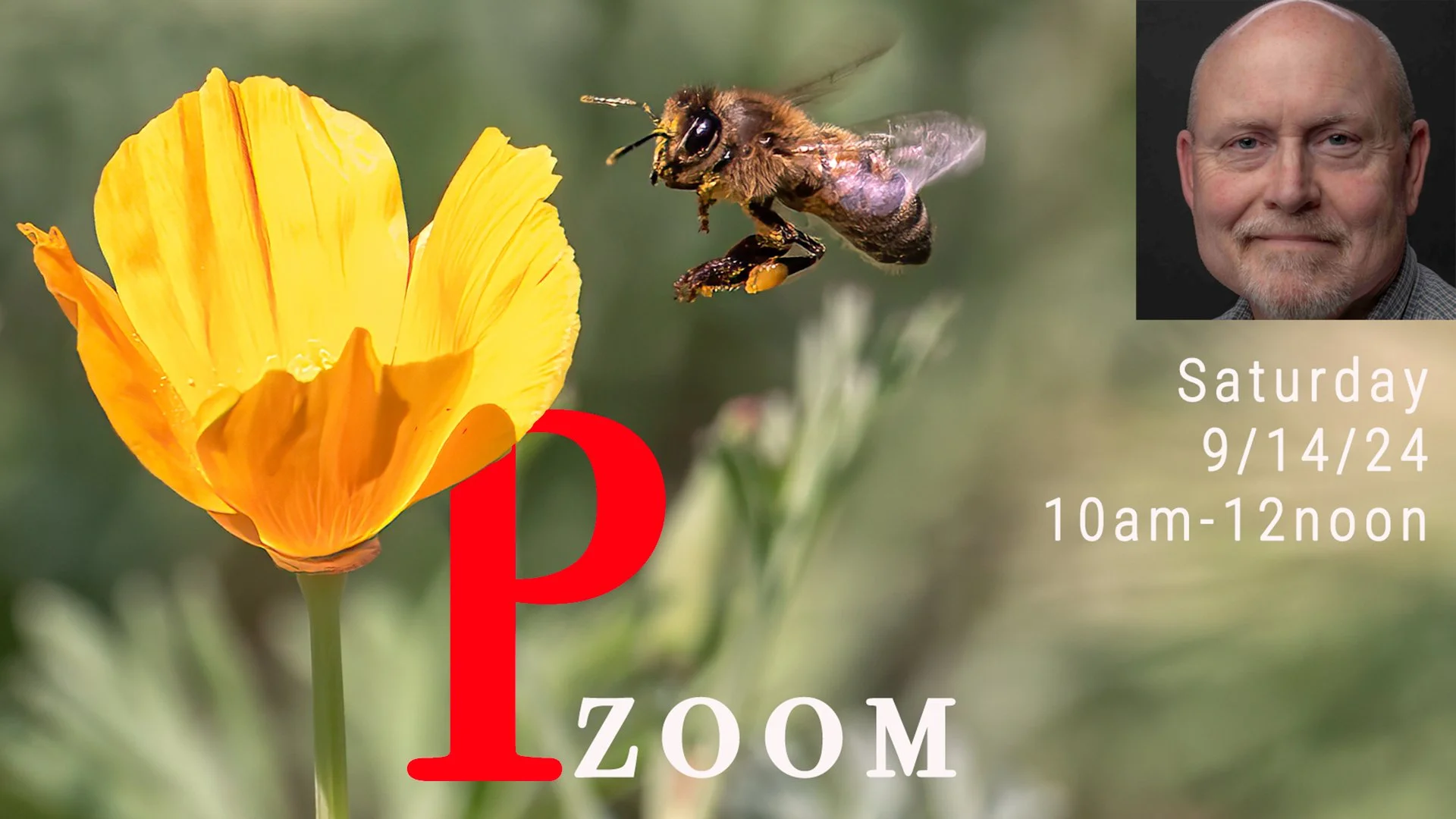 Innovation & Invention in Macro Photography — Allan Walls Photography