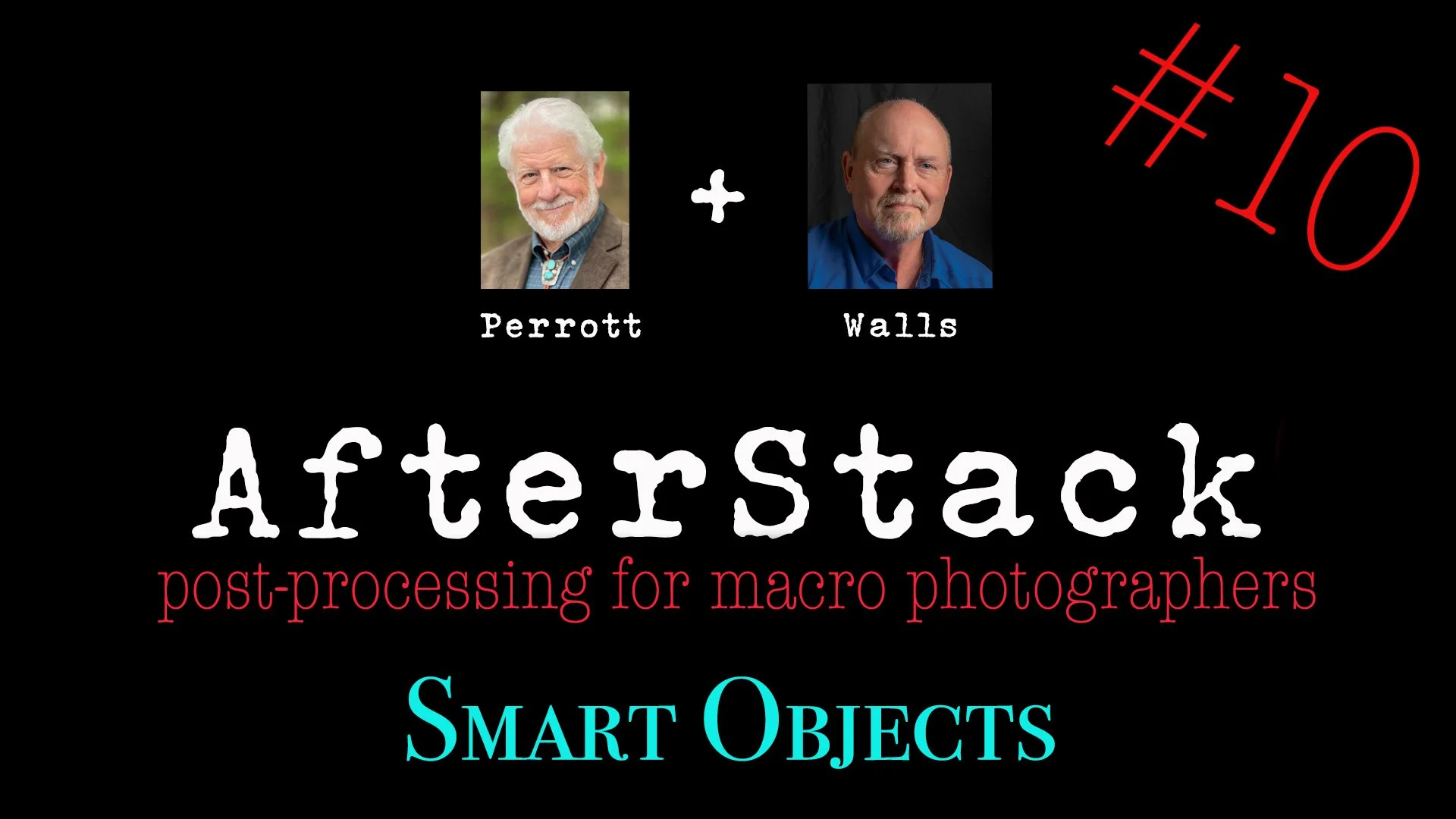 Understanding and Improving Image Quality in Macro Photography — Allan Walls Photography