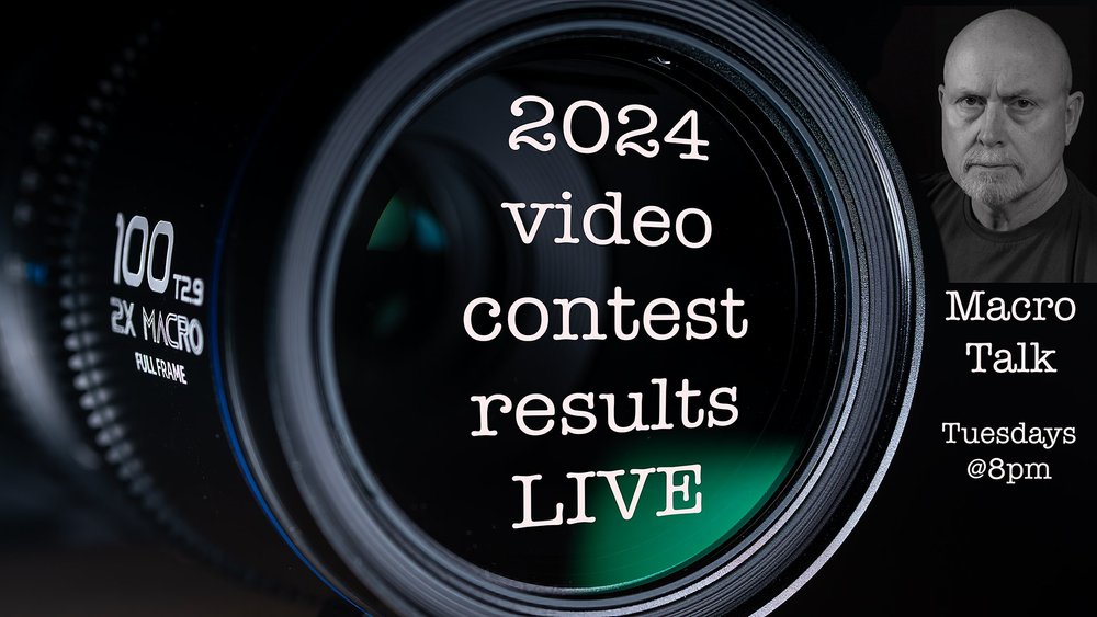 This Week in Macro 3.4.24 — Allan Walls Photography