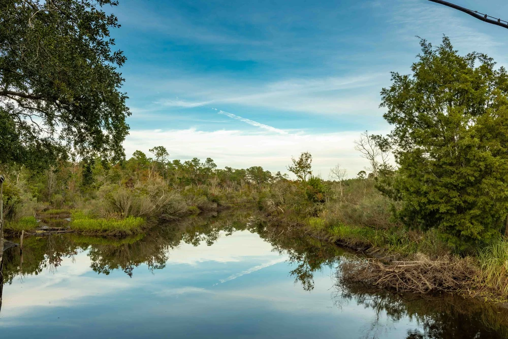 The Other Thanksgiving — Allan Walls Photography