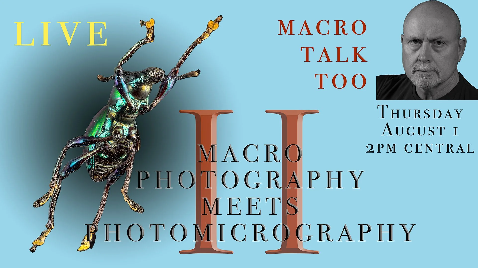 Photomicrography - Where Macro Photography Leaves Off — Allan Walls Photography