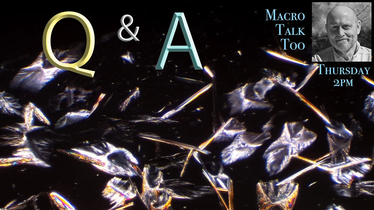 Complaint Department - please take a number... — Allan Walls Photography