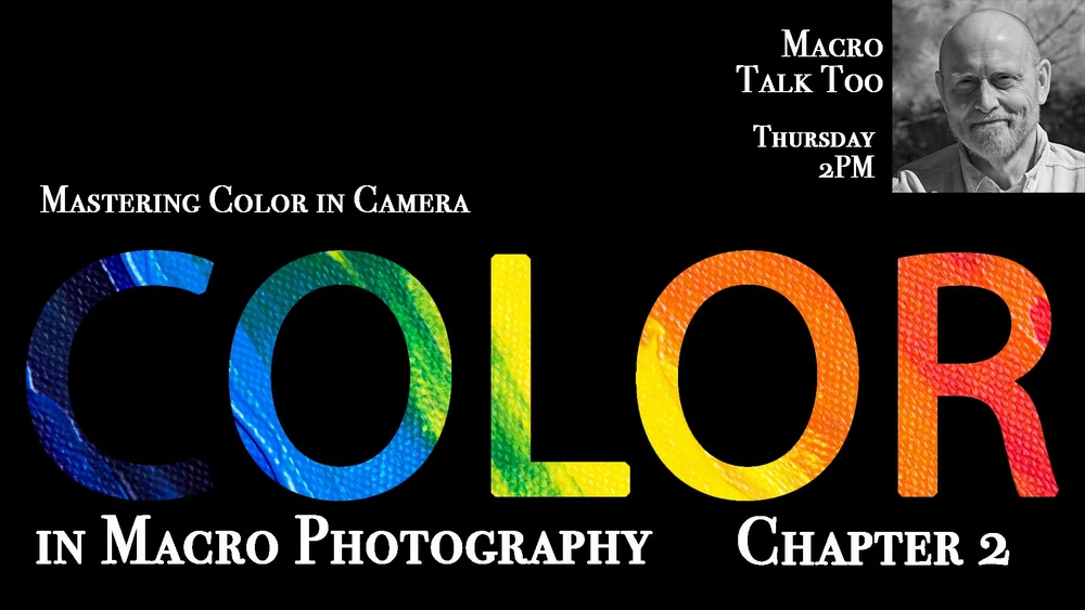Color in Macro Photography - A Livestream Series — Allan Walls Photography