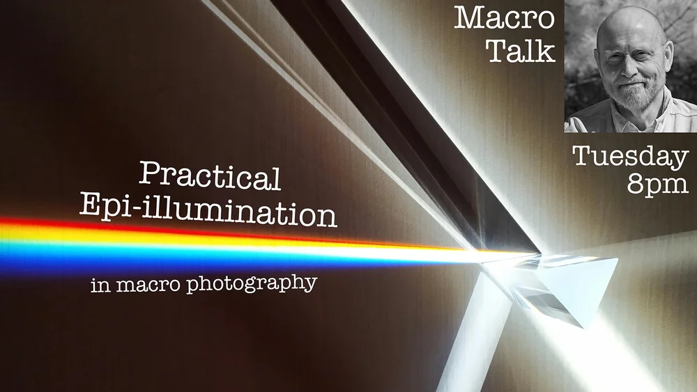 Shifting Perspectives on Epi-illumination — Allan Walls Photography
