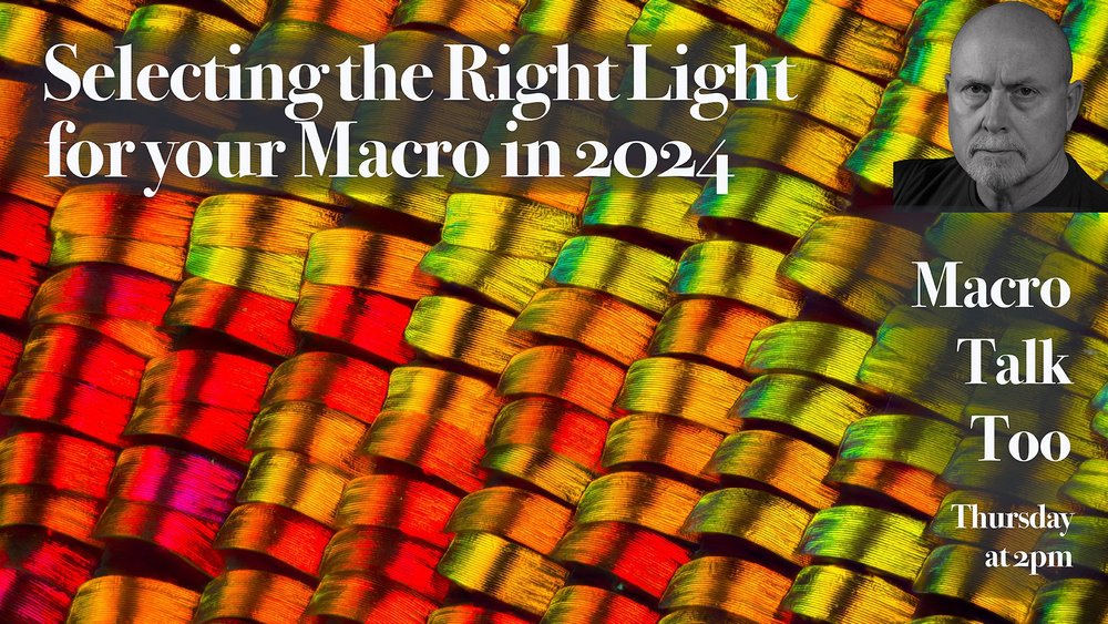 Let There Be (Continuous) Light — Allan Walls Photography