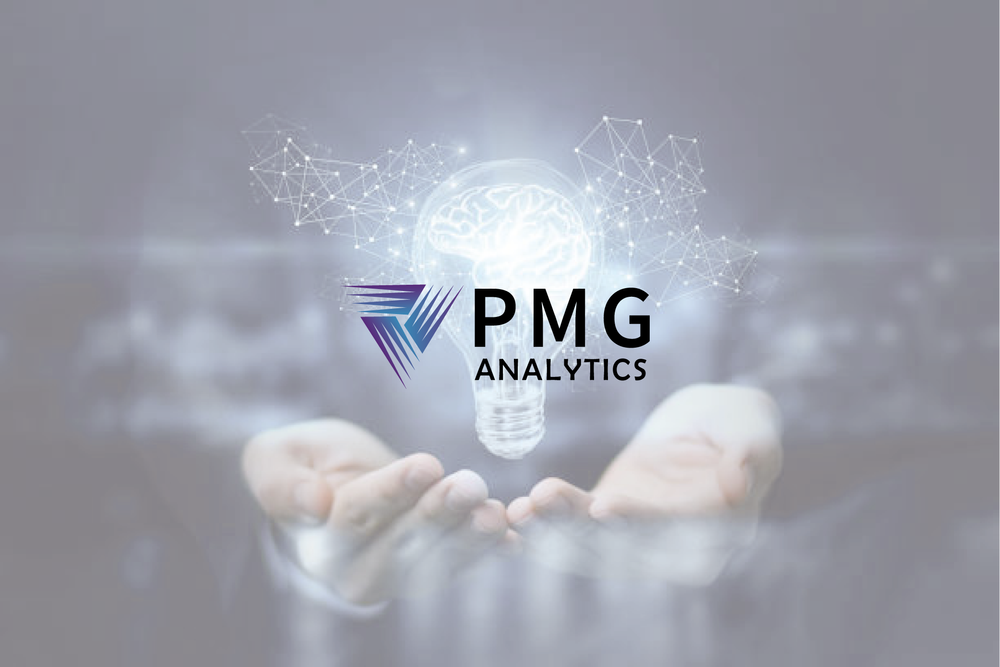 Corporate Portfolio — Pinnacle Management Group - Private Equity