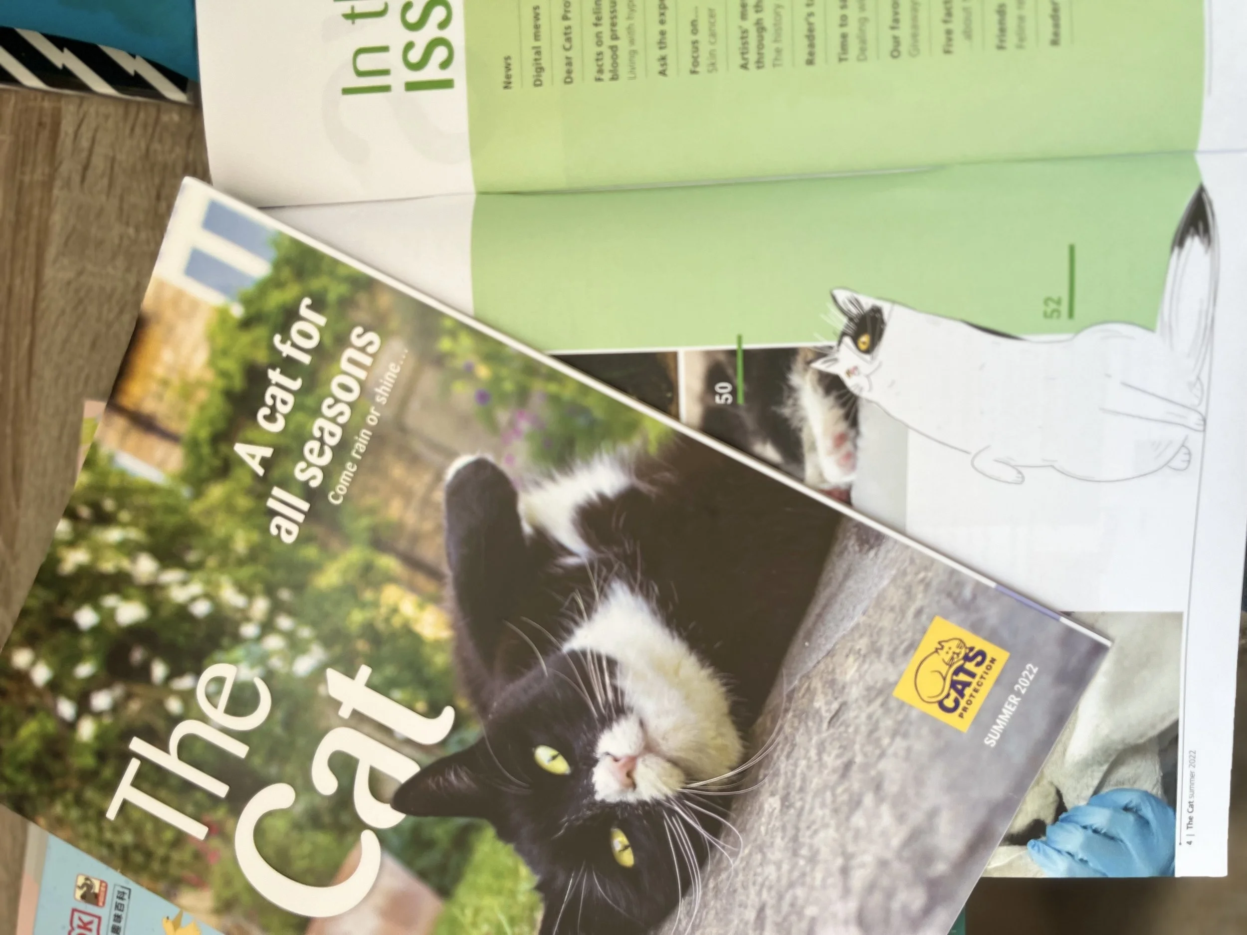 Children's Author Illustrator