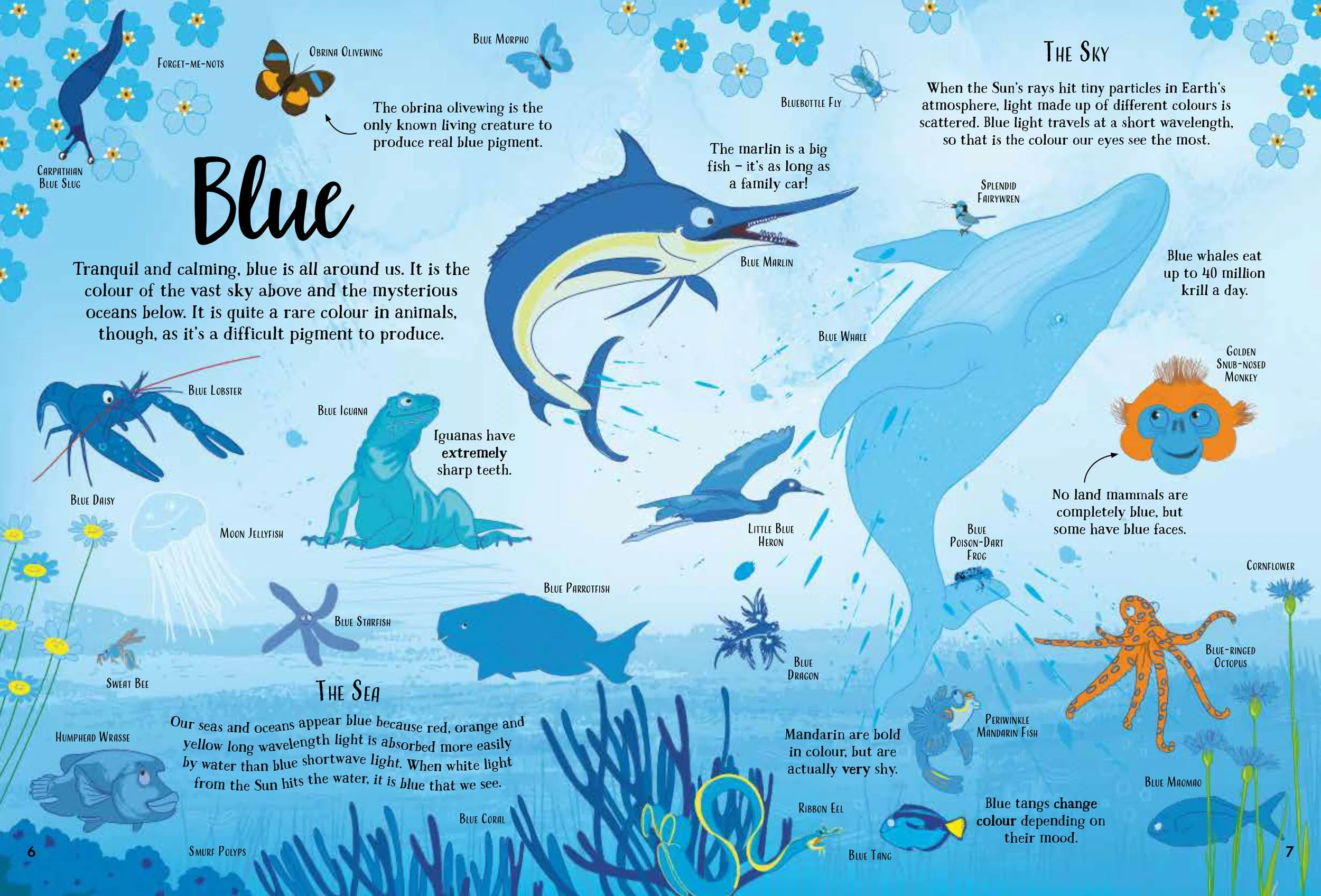 Illustrated and Authored Children's Books Non-Fiction - Wildlife ...