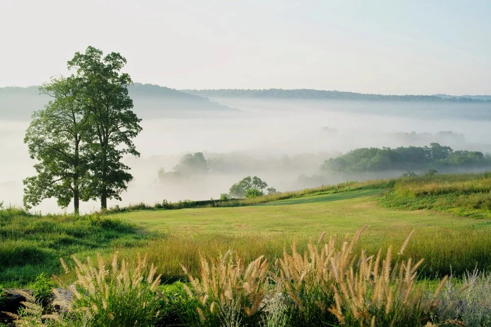 Spring Hill Vineyards